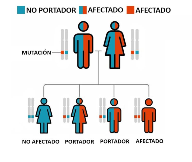 Test de portadores: conoce tu riesgo genético | Bygens