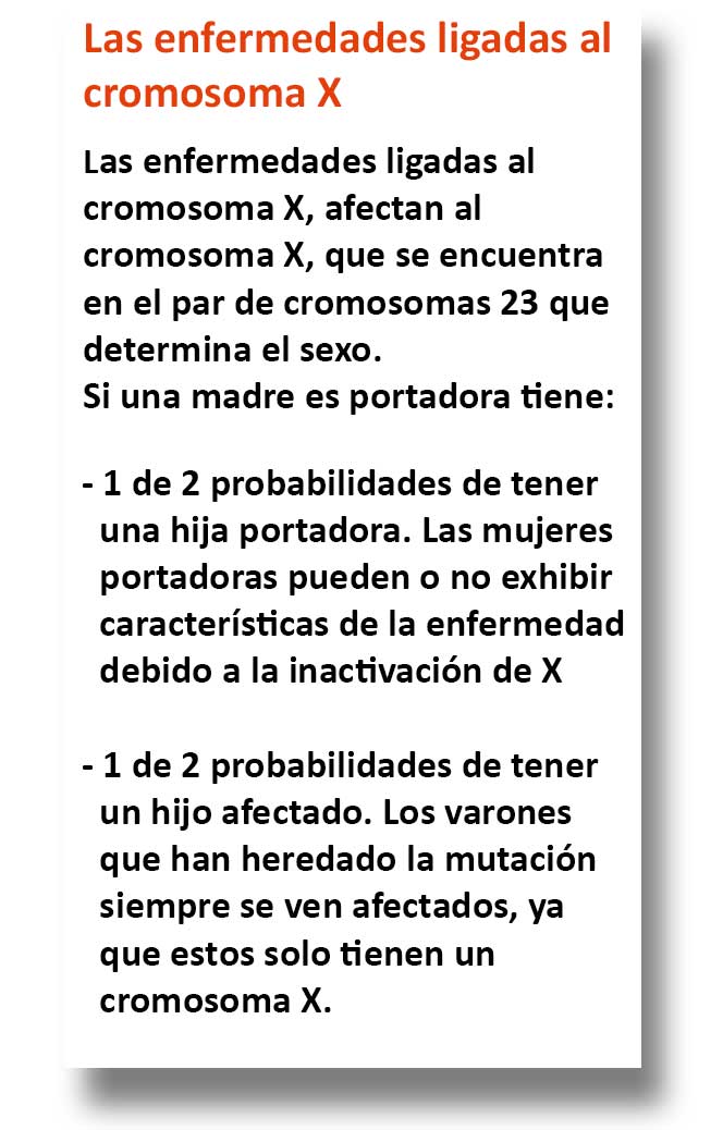 Test de portadores: conoce tu riesgo genético | Bygens